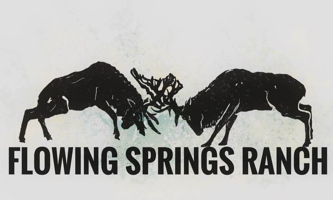 Boise Idaho Outfitters Horseback Riding & Lodging Robie Creek, ID